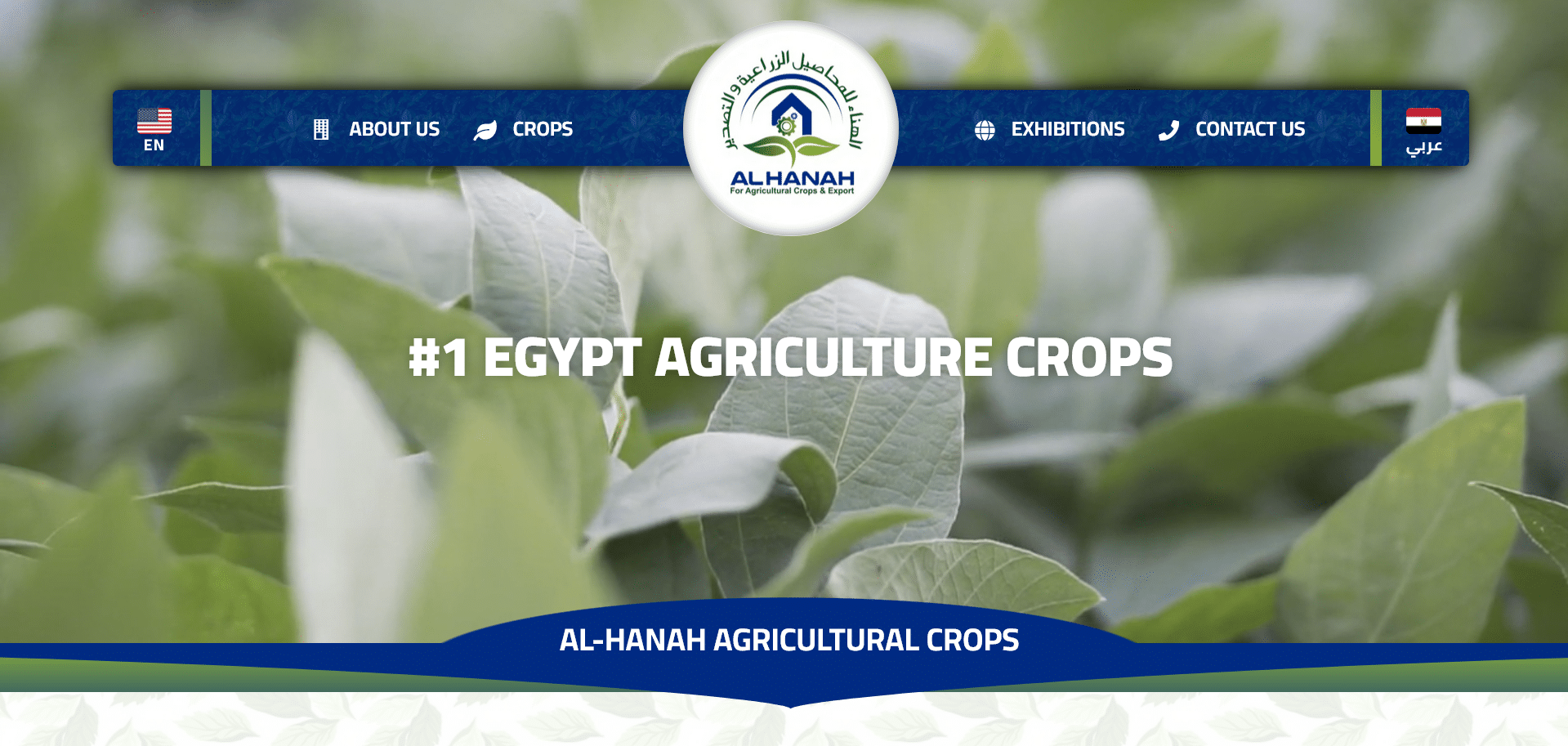 Agricultural Crops website design 🌿 Agricultural website design 🍋 ...